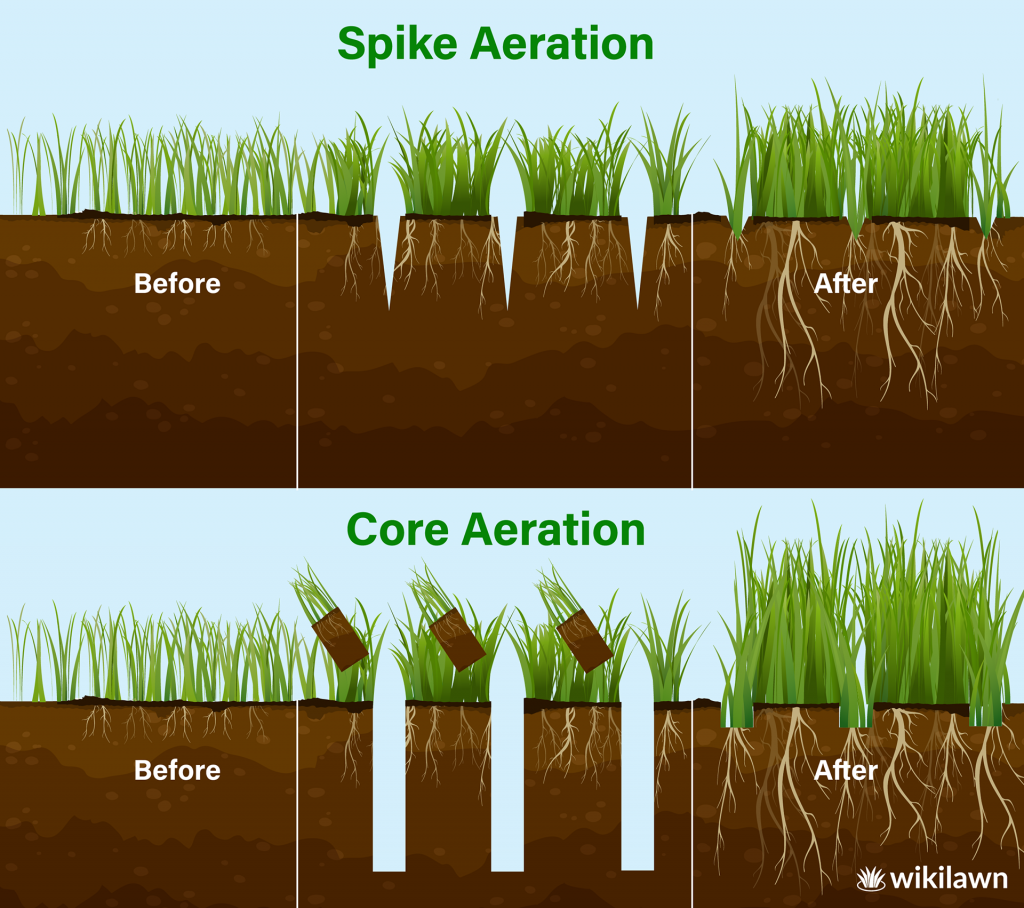 When and How to Aerate Your Lawn | Wikilawn