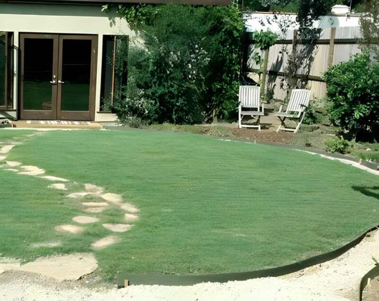 8 Best Grass Types for California