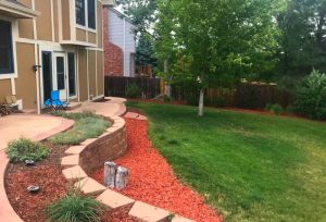 6 Best Grass Types for Alabama | Wikilawn