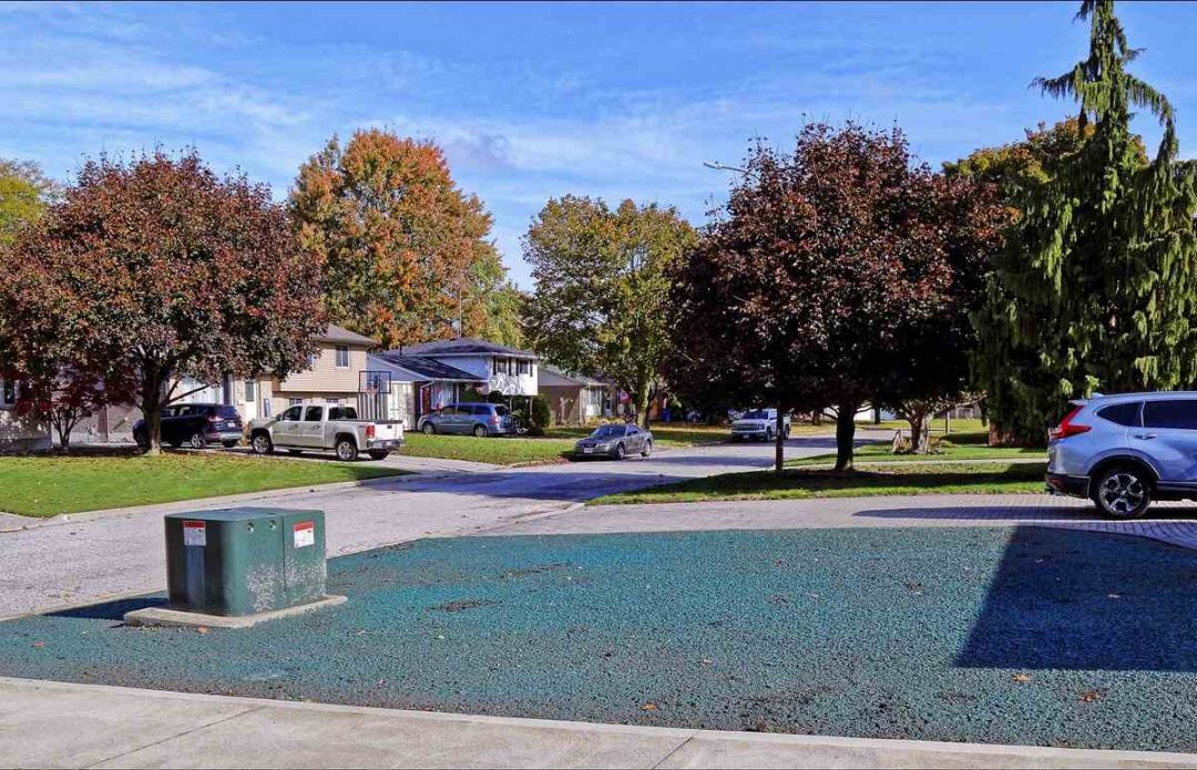 DIY Hydroseeding: How to Hydroseed Your Own Lawn in 11 Steps | Wikilawn