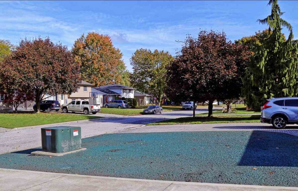 DIY Hydroseeding: How to Hydroseed Your Own Lawn in 11 Steps | Wikilawn