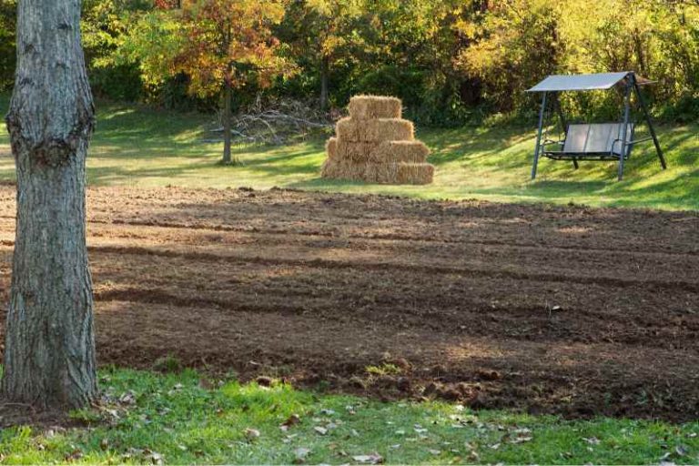 DIY Hydroseeding: How to Hydroseed Your Own Lawn in 11 Steps | Wikilawn